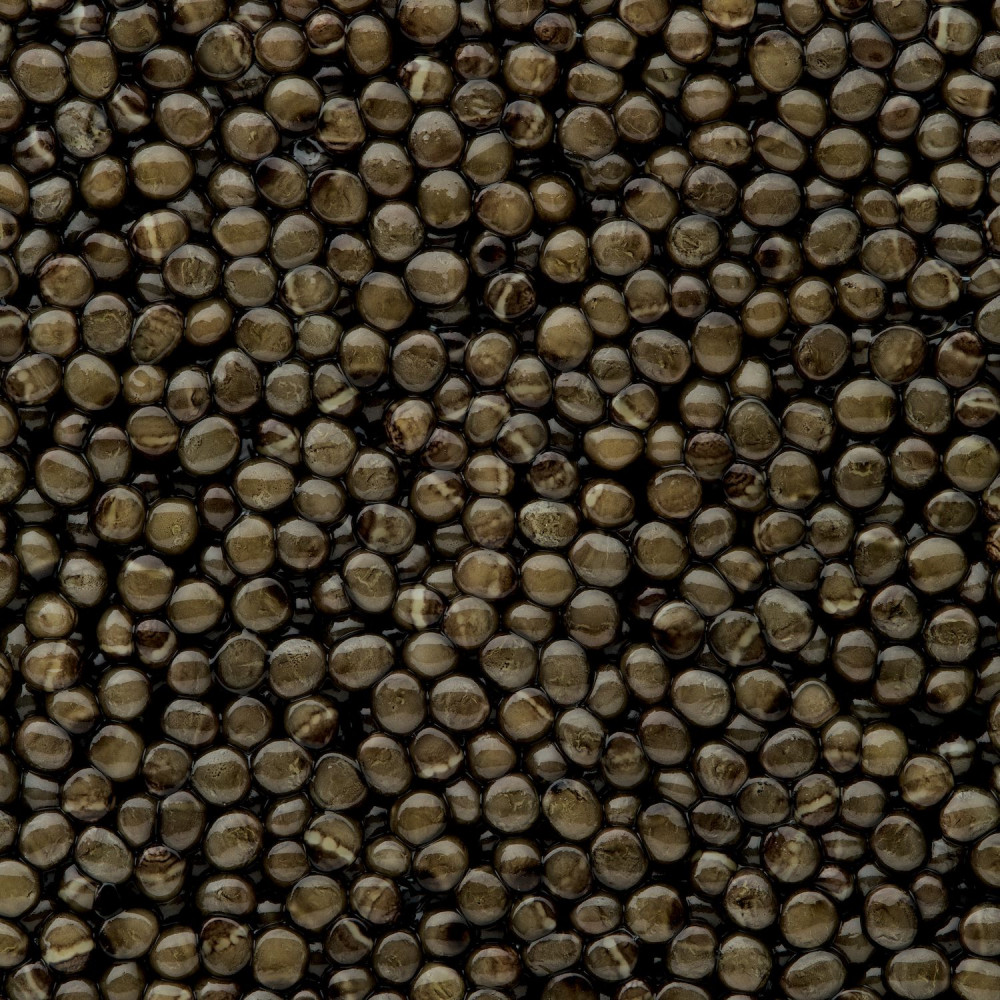 Caviar Sturia - Oscietra 50g